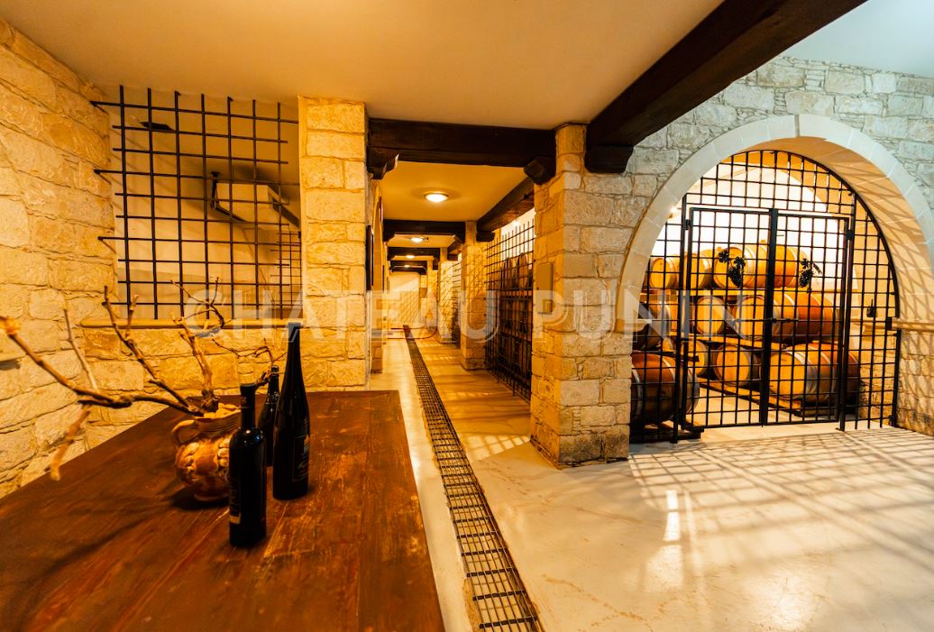 Chateau Punin: первое шато на Кипре с собственными виноградниками Пино Нуар на территории замка ...