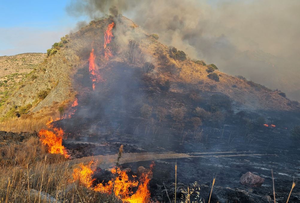«То, что я увидела по дороге — все-все-все горы были в огне! Не просто в черном дыму, а именно в ...